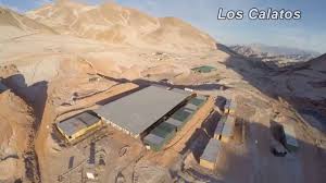 Los Calatos to produce 55,000 MTF of copper annually | MINERANDINA